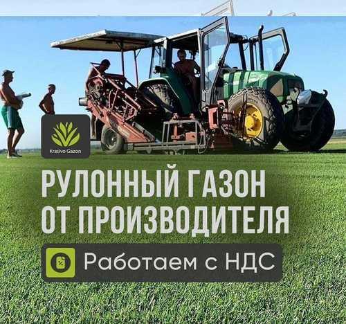 Рулонный газон трёхлетний