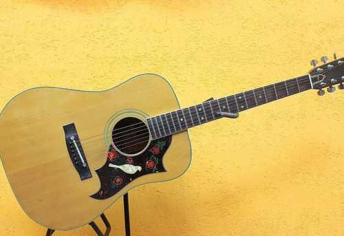 Alvarez 5044 Acoustic