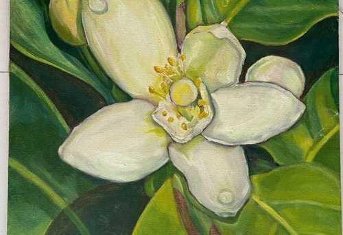 Картина "Орхидея в цвету"