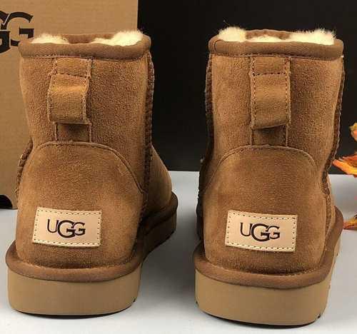 Угги Ugg Classic Mini II Chestnut