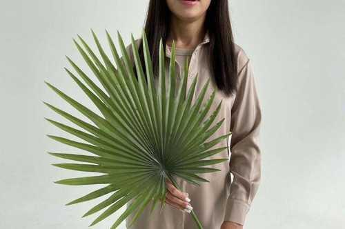 Пальма Вашингтония растения искусственные листья