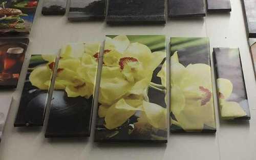 Картина модульная, орхидея