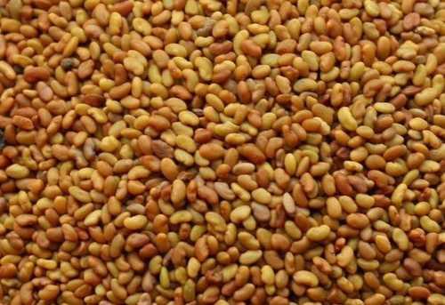 Семена люцерны "Вега-87" рс2, цена за тонну