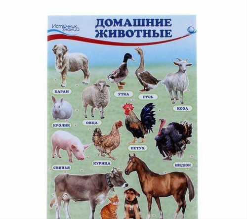 Набор плакатов