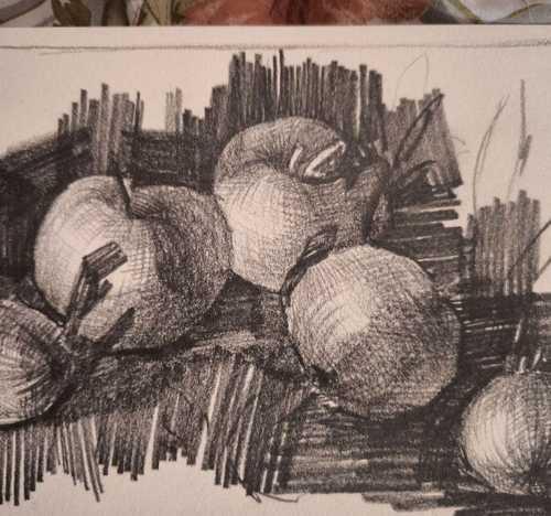 Рисунки карандашом