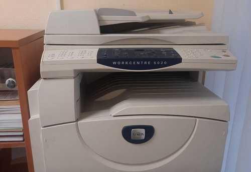 Мфу лазерный xerox 5020