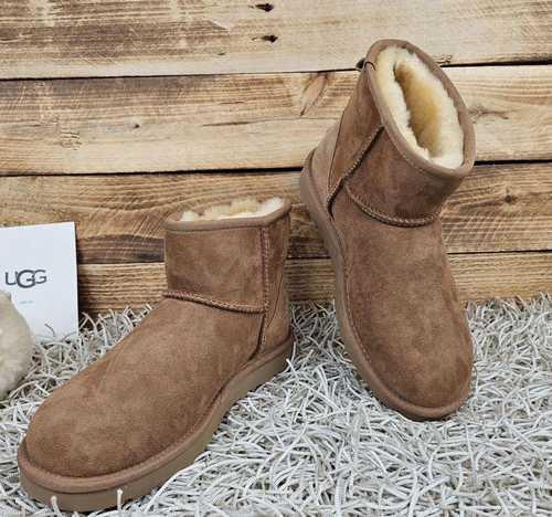 Угги Ugg Classic Mini II Chestnut женские оригинал