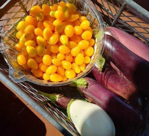 Домашние овощи: баклажаны, помидоры, брокали
