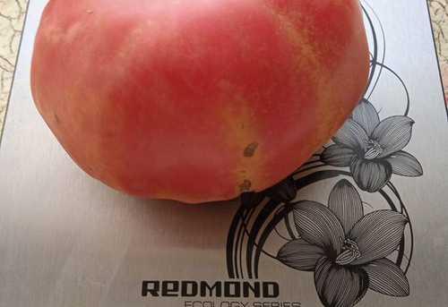 Семена томатов, дынь, арбузов