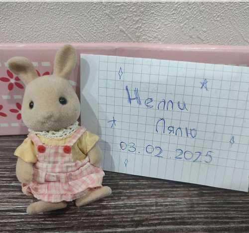Зайчики сильвания до 2005 года 4