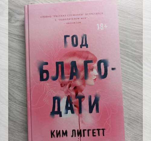 Книга. Ким Лиггетт, год благодати