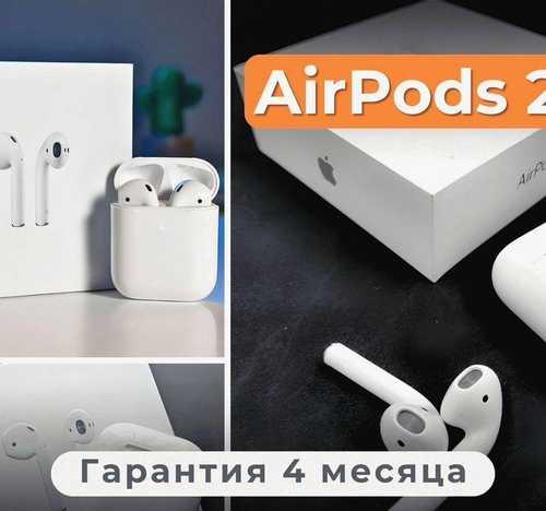 Наушники AirPods 2 с гарантией 1:101