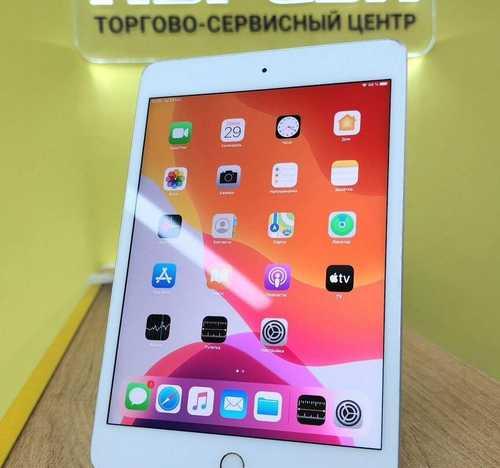 iPad mini 5 256 gb