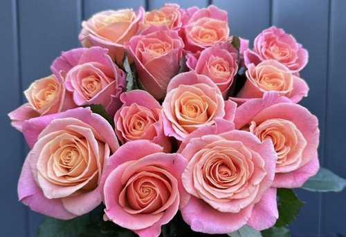 Роза розовая с доставкой 15 роз 80 см