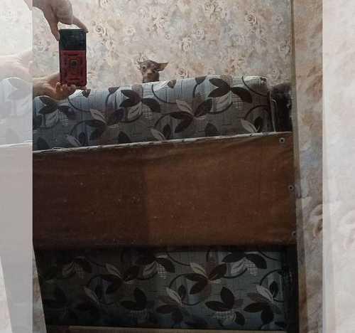 Зеркальное полотно