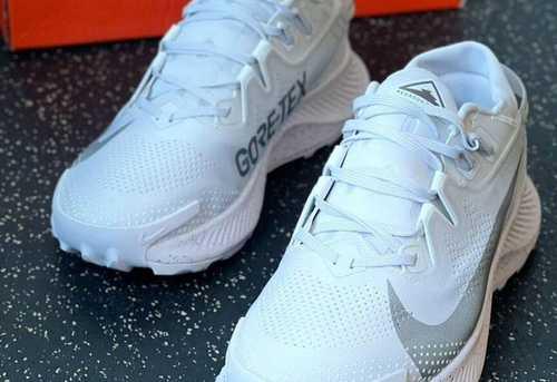Мужские кроссовки Nike Pegasus Trail