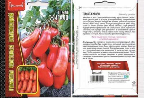 Рассада томатов сорта "Жиголо"