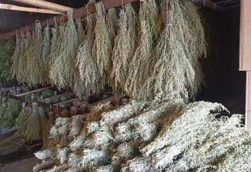 Веник и травы для бани оптом со склада в Челябинск