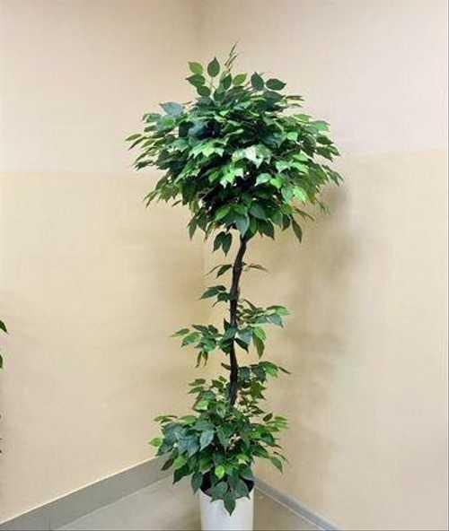 Фикус Бенджи цветок искусственное дерево
