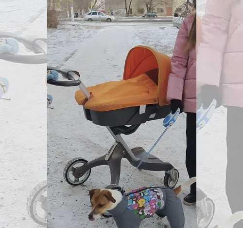 Коляска stokke xplory v1