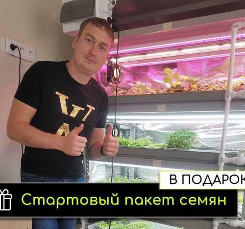 Гидропонная установка