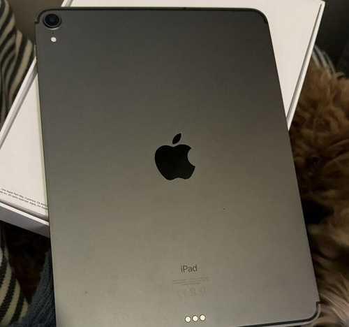 iPad Pro 11 256 гб, WI-FI   Cellular