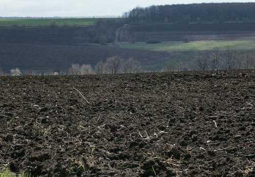 Чернозем Чернозем хороший - Камаз 10 тонн