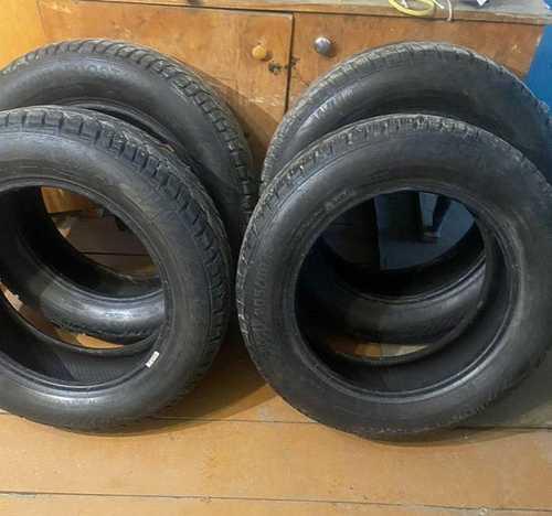 Gislaved NordFrost 100 205/60 R16