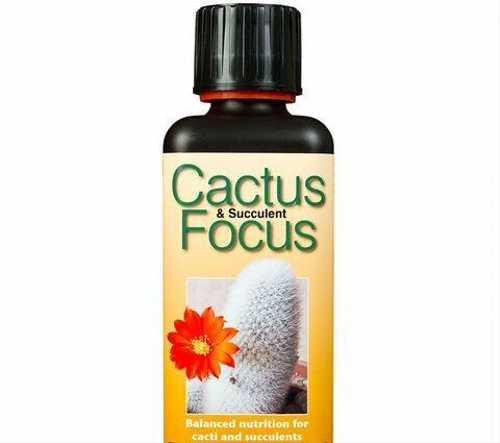 Cactus Focus 300мл
