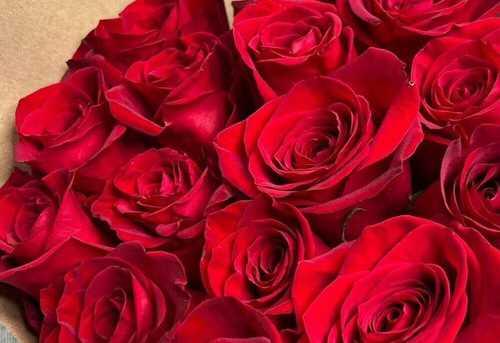 Букет цветов. Букет из 15 Красных Роз премиум