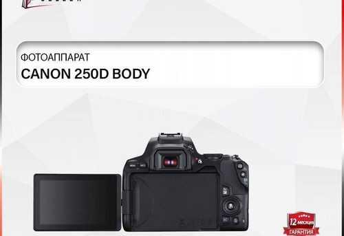 Canon 250D body