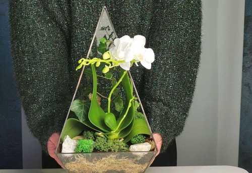 Флорариум с орхидеей в пирамиде