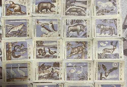Коллеционная этикетка (почтовые марки 1975-1977)