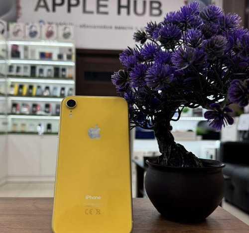 iPhone Xr, 64 ГБ