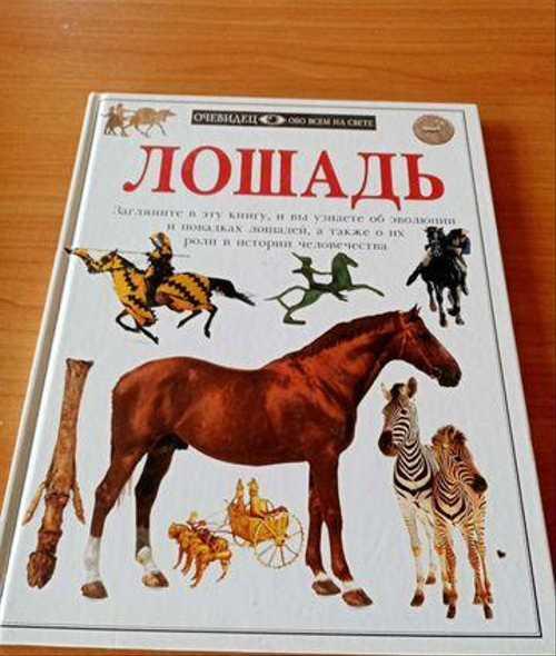 Лошадь. Школа верховой езды. Книги детям,подросток