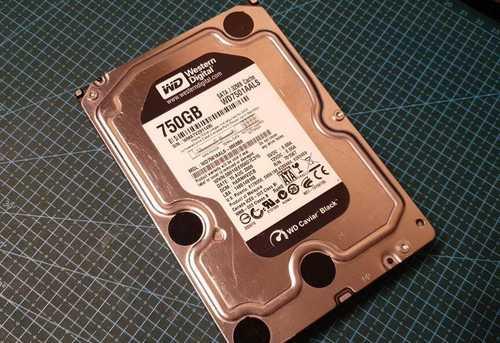Жесткий диск WD Black 7200 - 750Гб