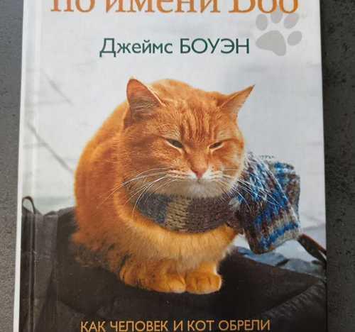 Уличный кот по имени боб