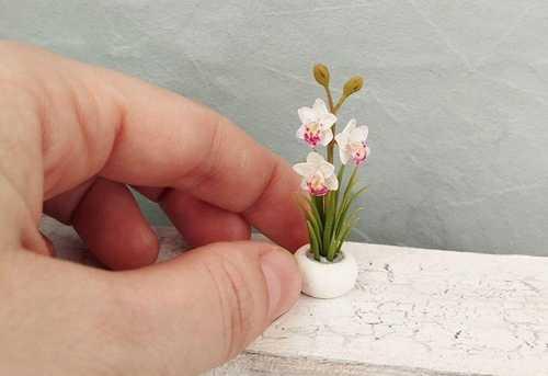 Миниатюрные цветы 1:12 Орхидея Цимбидиум в кашпо