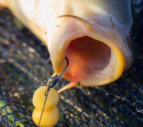 Carp PRO Крючок Black Nickel Wide Gape Classics №6