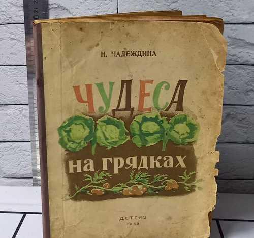 Надеждина Н. Чудеса на грядках