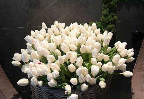 Корзина тюльпанов 301,101,201