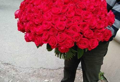 Букет из 101 розы 50 см сорт Ред Наоми. Розы оптом