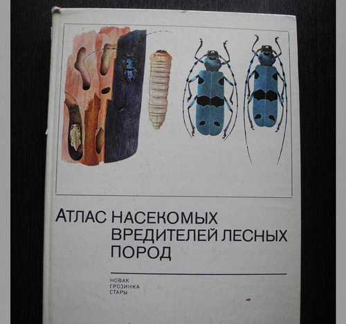 Атлас насекомых вредителей лесных пород