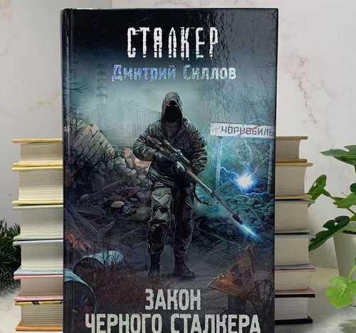 Закон Черного сталкера - Дмитрий Силлов. Сталкер