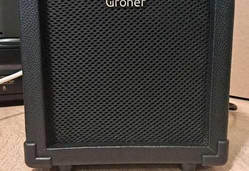 Гитарный комбоусилитель Groher Geg 2900 (10 ватт)