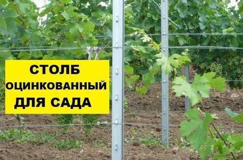 Столб шпалерный для виноградника