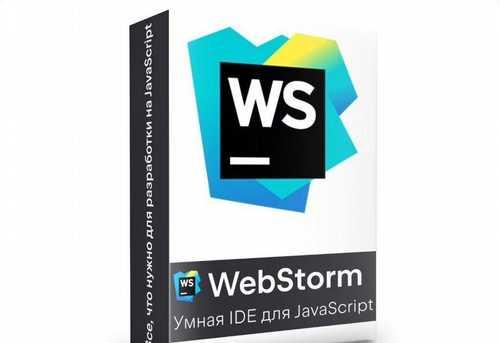 WeStorm JetBrains лицензия 8мес с Гарантией