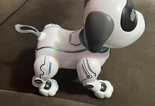 Радиоуправляемая собака-робот