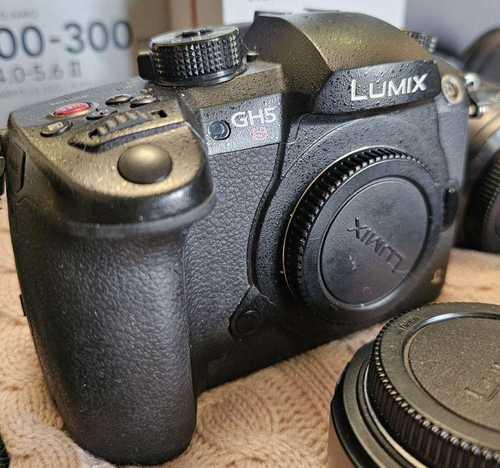 Камера Panasonic Lumix GH5(S)