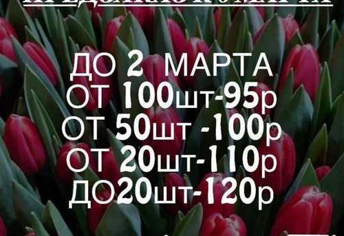 Тюльпаны к 8 марта